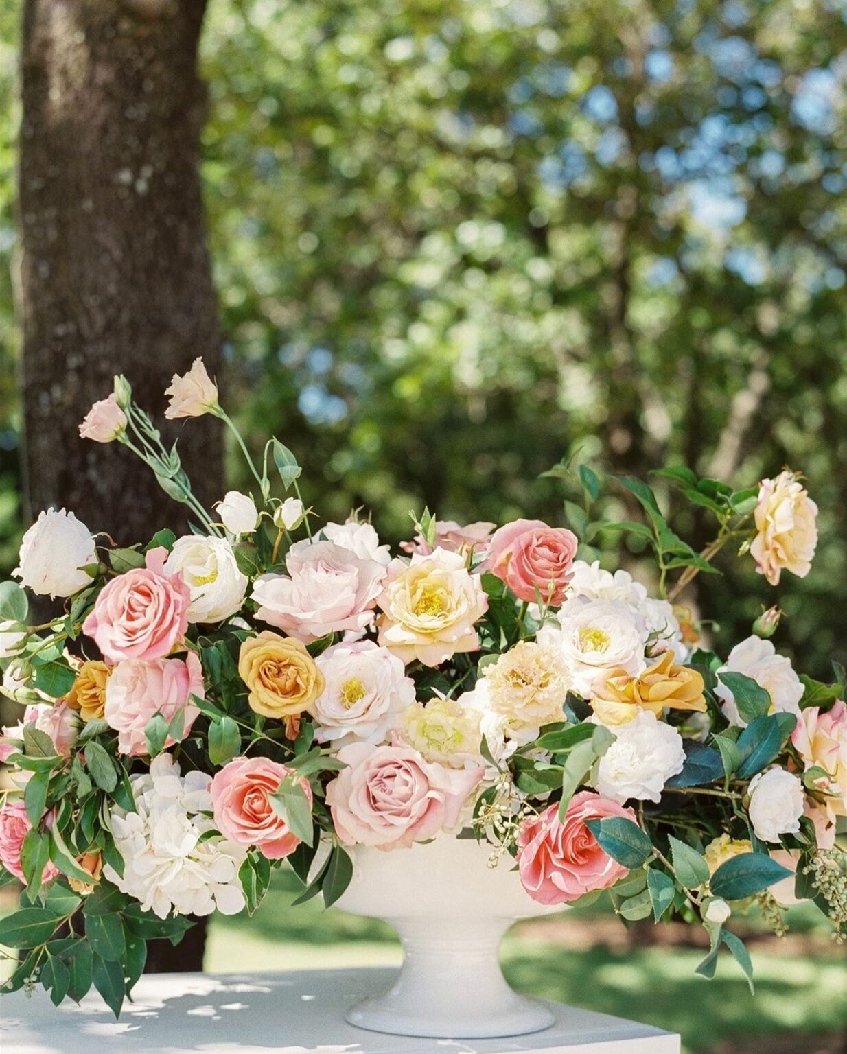 Home - Vella Nest Floral Design luxury wedding florist Dallas-Fort Worth